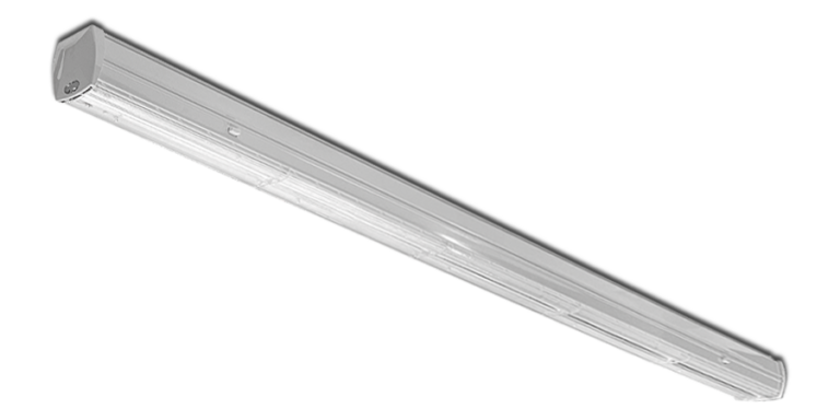 Rhino | Bumblebee Lighting