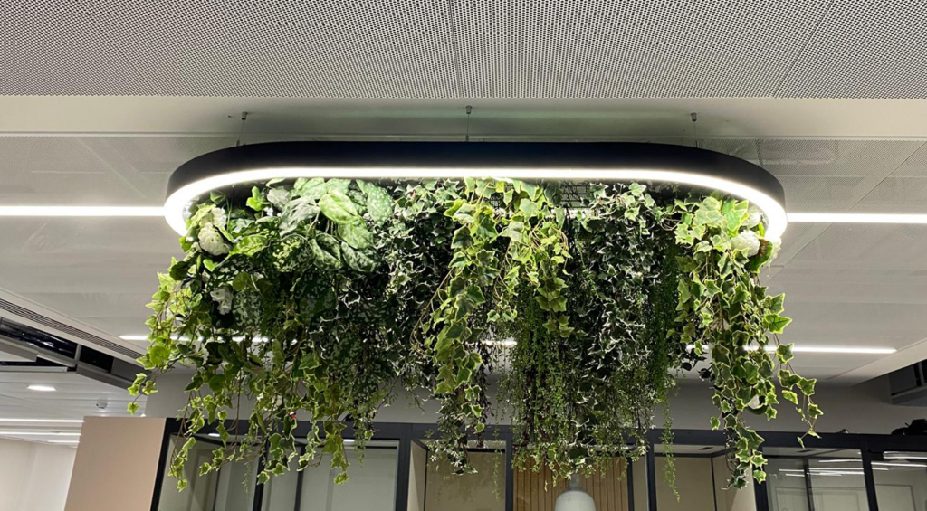 Introducing Feature Lighting | Bumblebee Lighting
